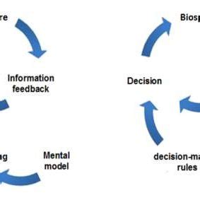 Single Loop Left And Double Loop Right Learning Focusing On Download Scientific Diagram