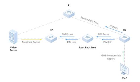 Pim Dense Mode Pim Dm