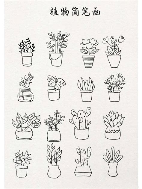 简笔画图片大全花草类简单 简笔画图片大全花草类简单百荷花 画趣文库（我爱生活）