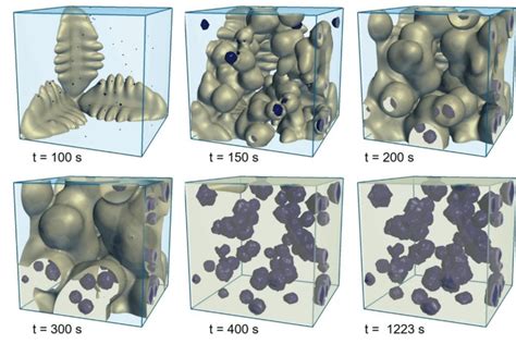 Phase Field Simulation Of The Microstructure Evolution In Sample M13 Download Scientific