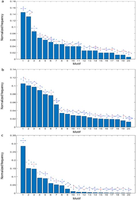 A Normalized Histogram Of The Twenty Most Common Network Motifs In
