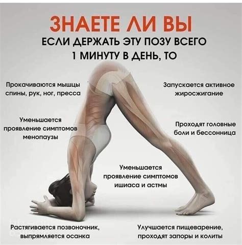 Женский журнал Здоровье и Красота — Разное Ok Ru Упражнение для начинающих Упражнения