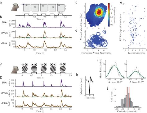 Determining Units Receptive Fields And Tuning A Receptive Field