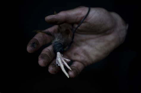 Hush 2008