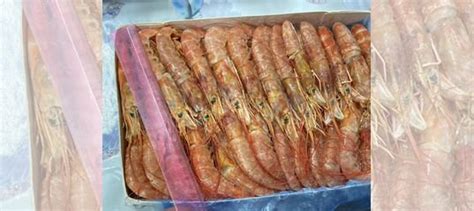 Лангустины креветки купить в Ангарске Товары для дома и дачи Авито