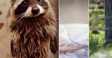 List Dtsa 5013 Glm And Nonparametric Regression Class Notes Curated