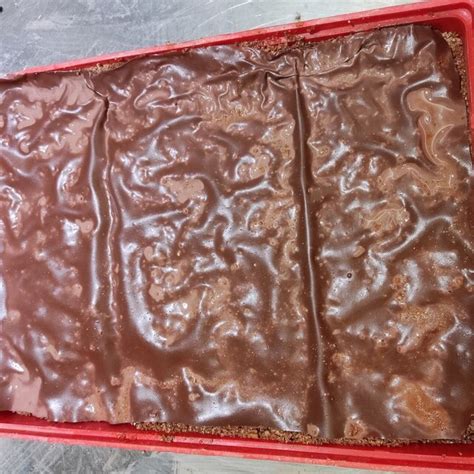 Plant Growth Test Container Download Scientific Diagram