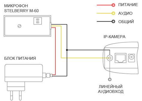 M-60 / Серия M / STELBERRY