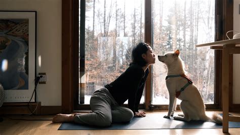 진짜 살고 싶은 인생을 찾아 결심했다 꿈에 대한 고찰 Youtube