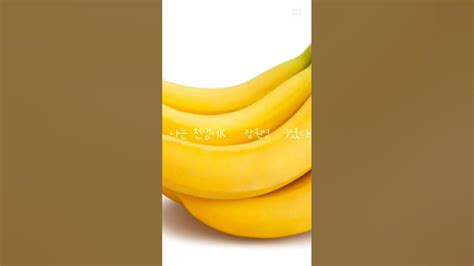 당신은 전생에 였다 Youtube