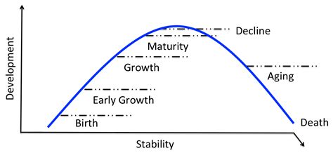 Lifecycle Strategy Product Market Execution Fit Organizational Physics