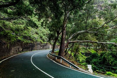Premium Photo The Green Curve