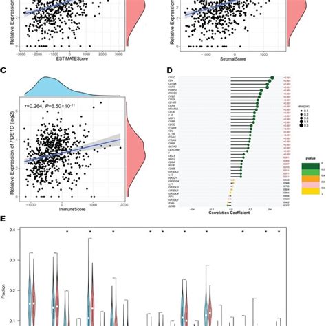 Immunity Analysis Of Colorectal Cancer A Correlation Analysis Of Download Scientific Diagram