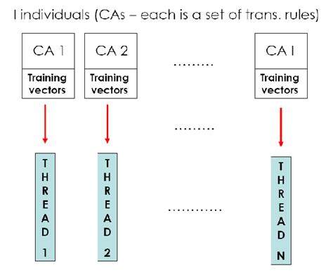 Parallelization Of Ca Simulation On The Level Of Individuals I Denotes Download Scientific