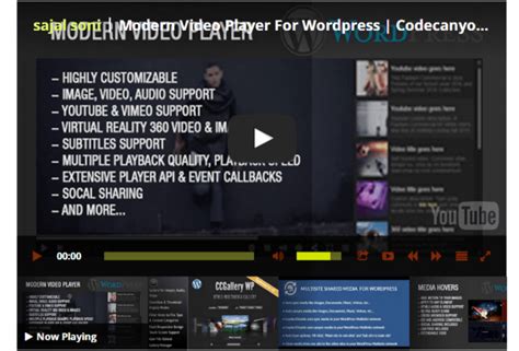 how to use the wordpress responsive youtube playlist video player