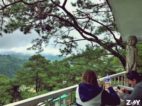 Arcas Yard Baguio City A Cafe With A Cozy Vibe And A Mini Library