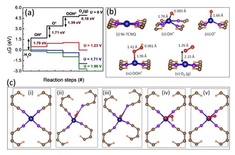 Vasp二维材料计算培训：二维 异质结构建模、能带、功函数、静电势、吸附性质、虚频消除、态密度、d带中心、co2rr、电池性质 华算科技