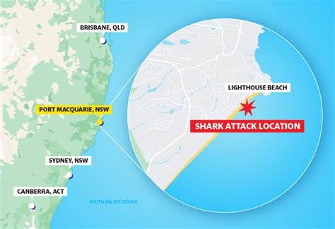 Surfers Foot Ripped Off By Great White During Horror Shark Attack