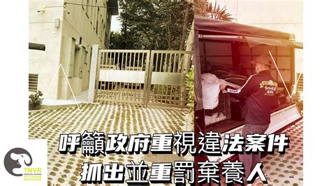 新竹市南寮漁港，年初三被人惡意棄養一群米克斯犬，甚至有三隻母狗未絕育，棄養的位置在狗追人的衝突熱區每年一直發生惡意棄養案件，什麼時候才能