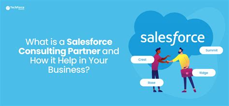 What Is A Salesforce Consulting Partner And How It Helps In Your Business