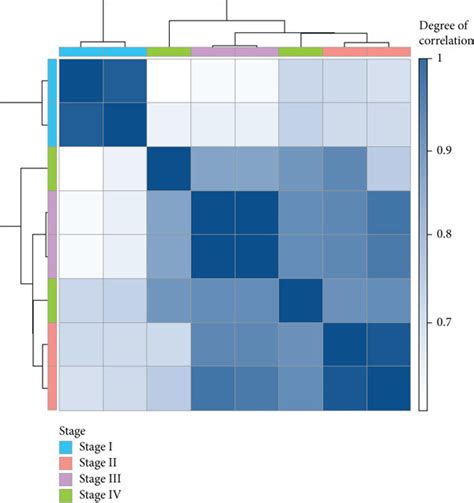 Hierarchical Clustering Of Somatic Embryo Transcriptomes Based On Their Download Scientific