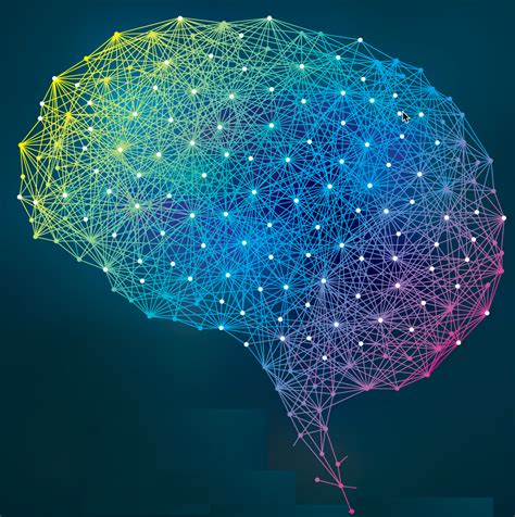 New Algorithm Will Allow For Simulating Neural Connections Of Entire Brain On Future Exascale