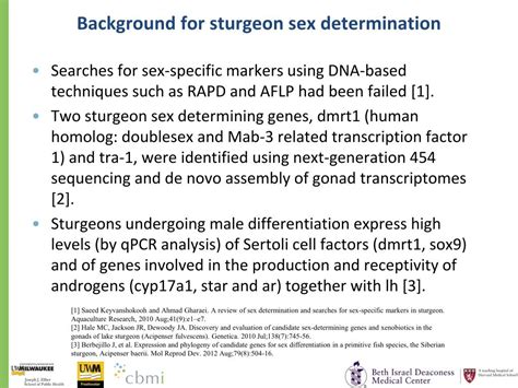 ppt lphig bioinformatics of sfs genomics center program projects