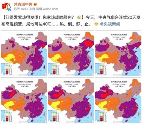 北极圈已突破30℃高温！北极熊正在死亡，细思极恐！