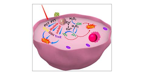 Nir Ii Responsive Versatile Nanozyme Based On H2o2 Cycling And