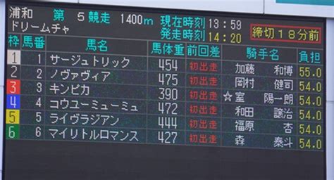 10月21日浦和5R新馬ライヴラジアン優勝 南関魂 高橋華代子の南関東競馬ブログ