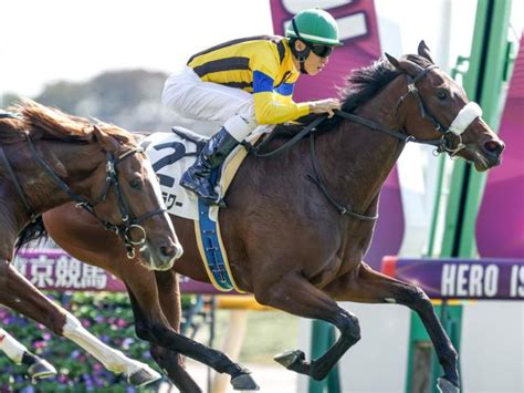 【メイクデビュー東京4rレース後コメント】フォーカルフラワー津村明秀騎手ら 競馬ニュース