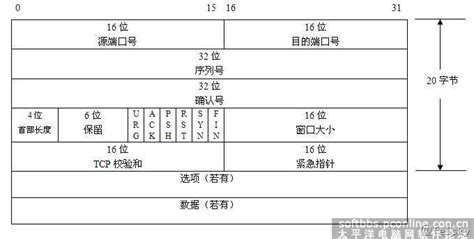 2 网络基础理论 Tcp 《sdn网络指南》 书栈网 · Bookstack