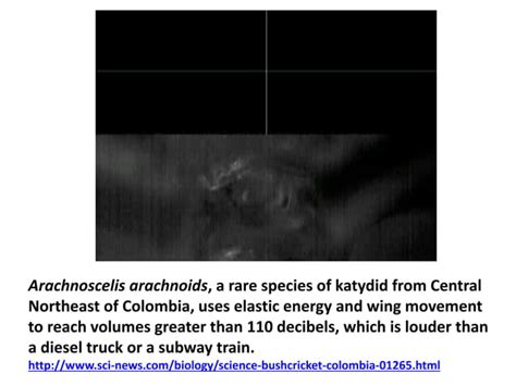 Science Behind The Ultrasonic Distance Sensor Pptx Birdwatching