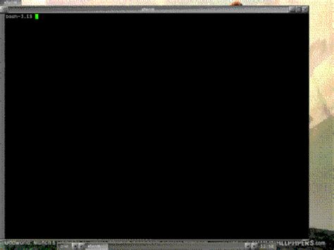 Настройка Xterm Рецепты Linux