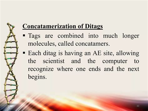 Sage Serial Analysis Of Gene Expression Pptx