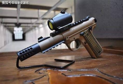 在美国民间最受欢迎的25种民用枪 系列 发射 型号