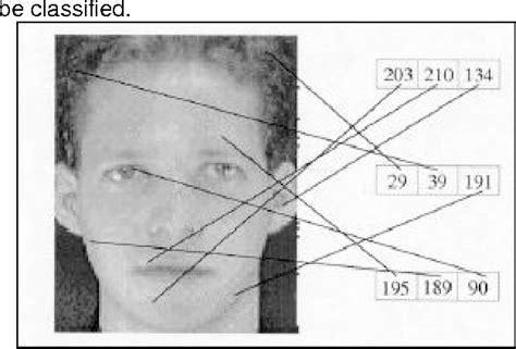 Figure 1 From Holistic Face Recognition Through Multivariate Analysis And Genetic Algorithms