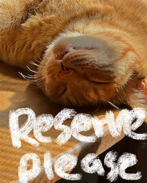 불필요상점 짙은 갈색의 낮은 옻칠 나무 차탁입니다 다도를 위한 상이지만 분재나 향로등을 올려놓는 용도로도 사용했다 해요 채색을 하지 않고 오롯이 선으로 완성한