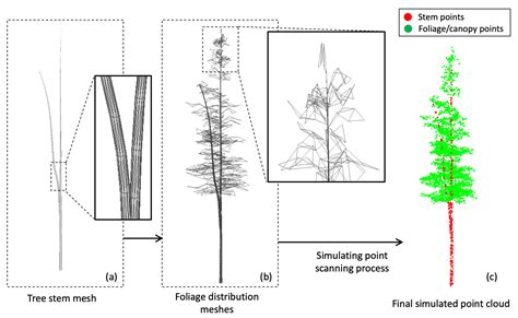 Remote Sensing Free Full Text Using Synthetic Tree Data In Deep