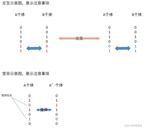 智能优化算法——遗传算法（ga）（纯理论，不包含代码）ga优化算法 Csdn博客