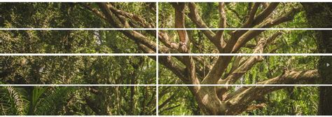 How To Set The Background Color For The Unfilled Space In Css Where The