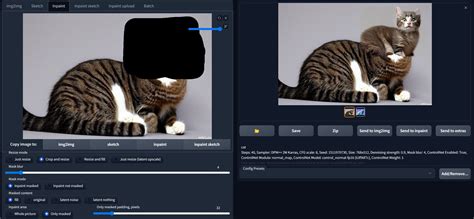 When Only Masked Is Specified For Inpaint The Image Is Not Drawn