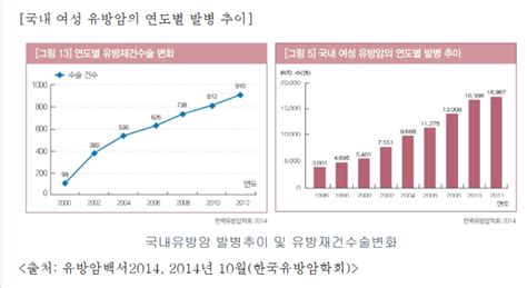 한스바이오메드 사업내용 및 시장의 특성 영업전략 네이버 블로그
