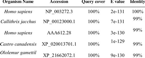 selected organisms from blast result for multiple sequence alignment