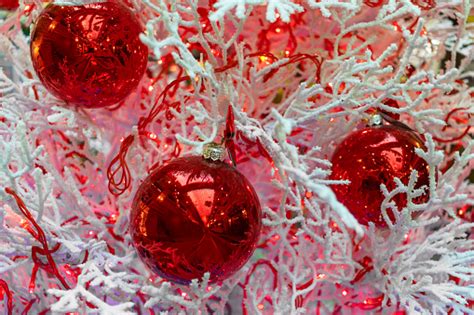 밝은 빨간색 반짝이는 크리스마스 트리 공 및 흰색 서리로 덮인 나뭇 가지 클로즈업 0명에 대한 스톡 사진 및 기타 이미지 0명 12월 3가지 개체 Istock