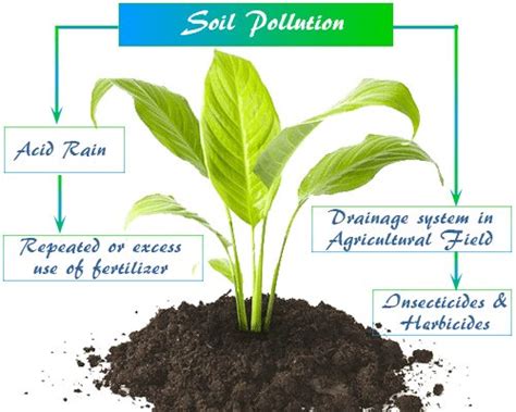Prevention Of Soil Pollution
