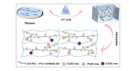 Novel Photocrosslinking Sulfhydryl Castor Oil Gelatin Hydrogel For The Removal Of Heavy Metals