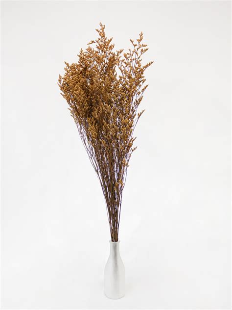 Лимоніум стабілізований теракотовий купити в Україні за низькою ціною • Dfb Elements