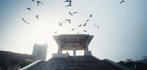 Dos Documentales Nominados Al Oscar Denuncian La Destrucción Del Planeta Tierra Infobae