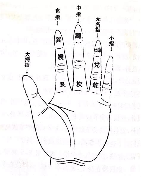 手指八卦位置示意图后背图片位置示意图胃图片位置示意图大山谷图库